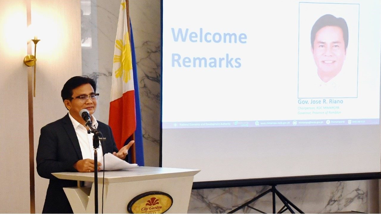 RDC MIMAROPA conducts RDP consultation; regional planning committees ...